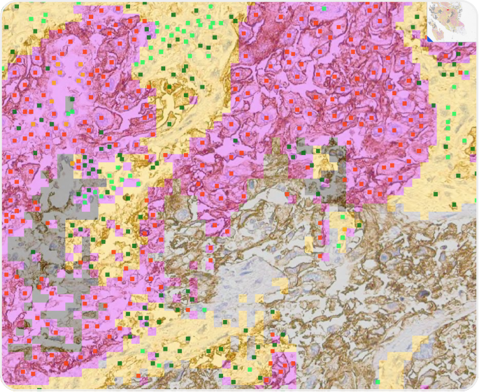 PathAI AISight Image Management System Landing Page